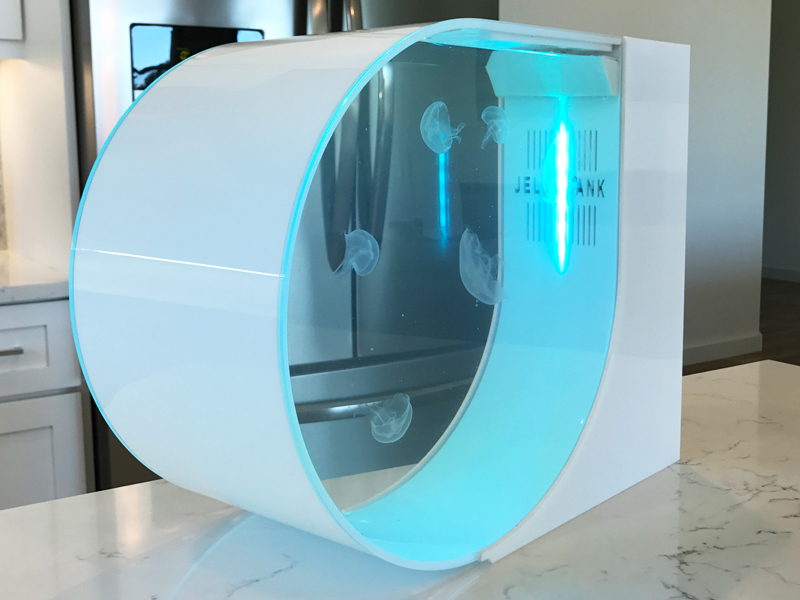 JellyTank – The Ultimate Jellyfish Aquarium